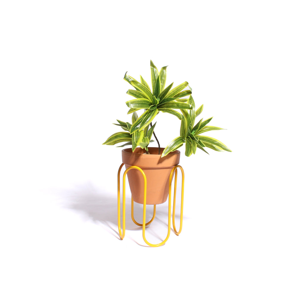 Large Squiggle Planter – NewMade LA