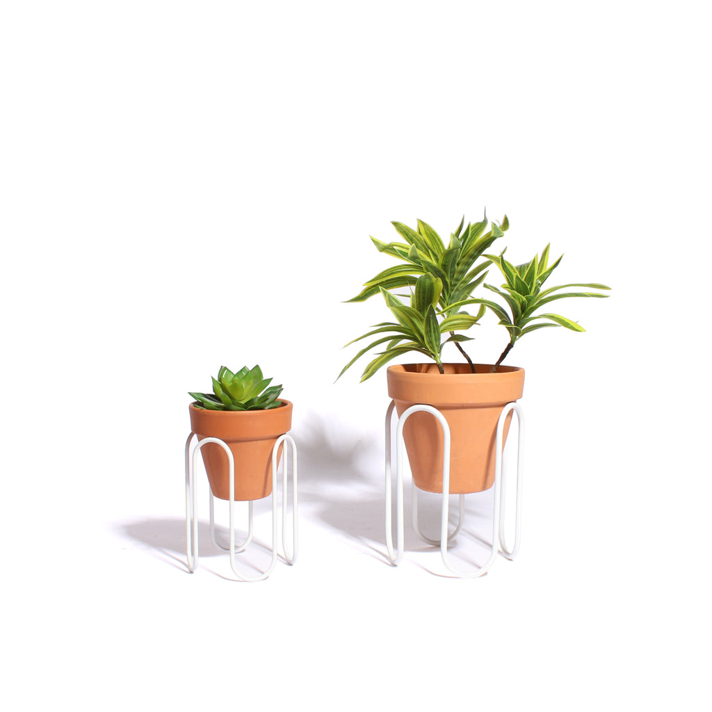 Squiggle Bundle – NewMade LA