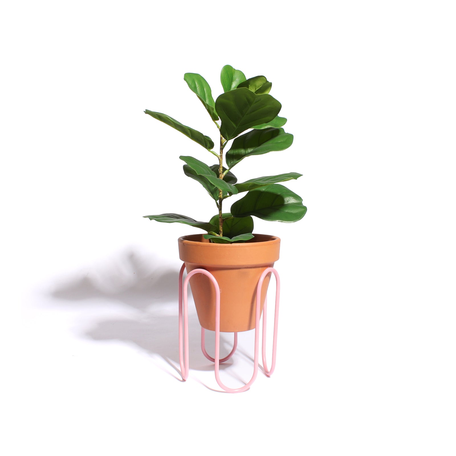 Large Squiggle Planter – NewMade LA