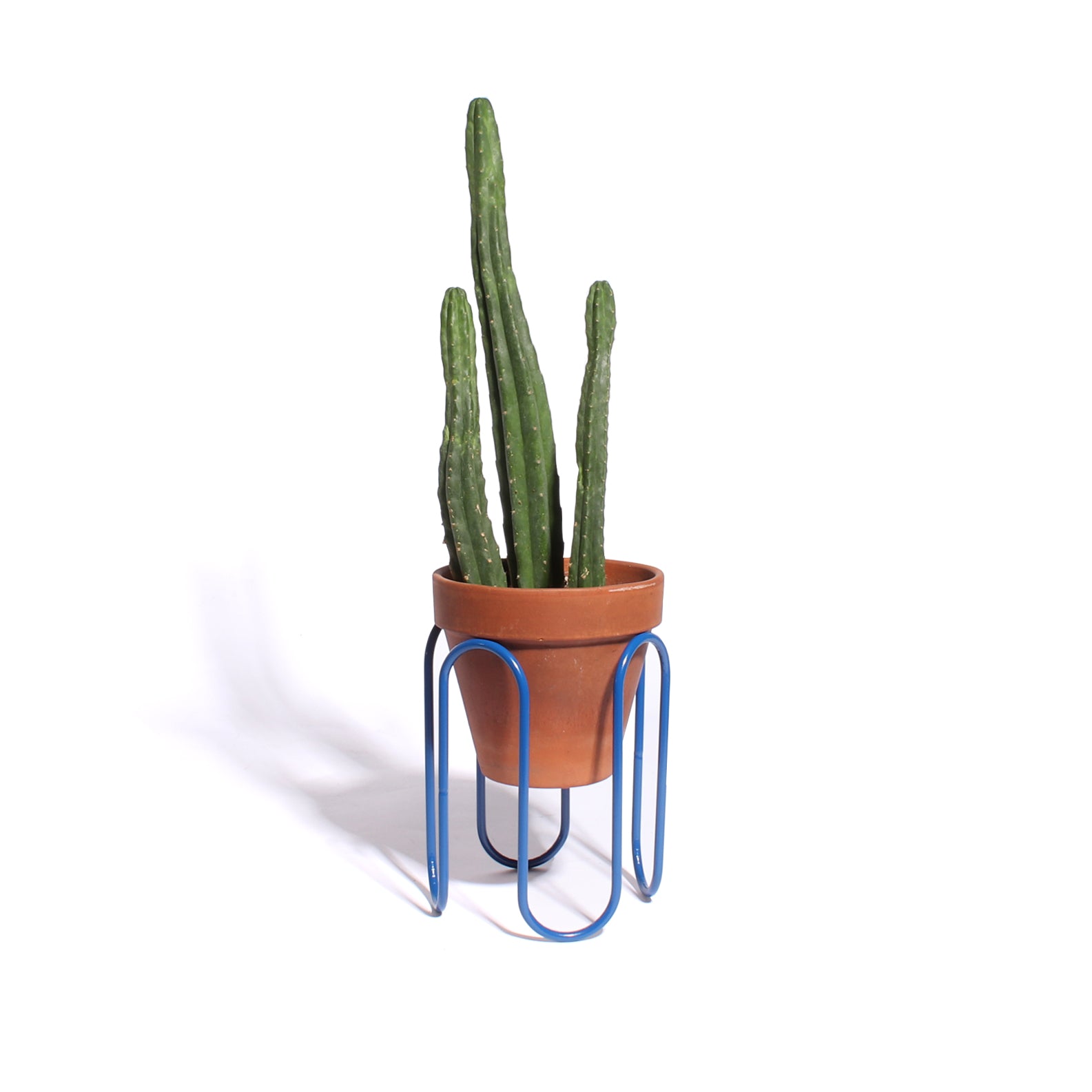 Large Squiggle Planter – NewMade LA
